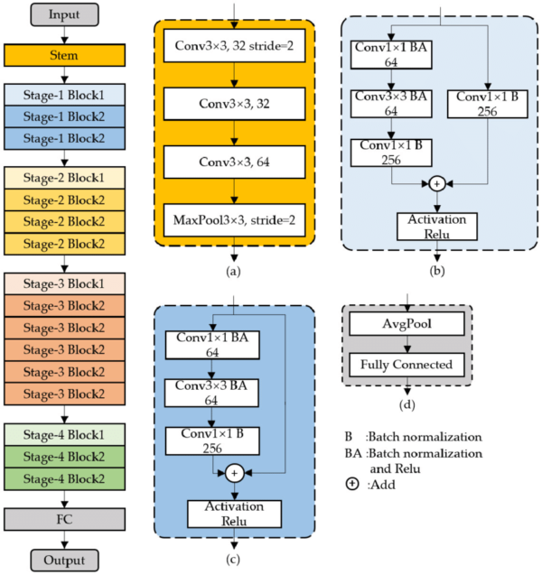 The Power Of Patterns A Beginners Dive Into Convolutional Neural