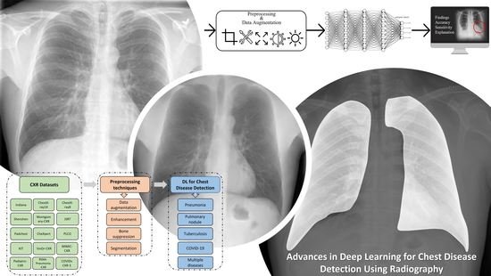 Deep Learning in Image Recognition: A Powerful Tool for Seeing the ...